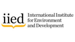 QUIN Institute – QUIN Institute for Sustainable Executive Education