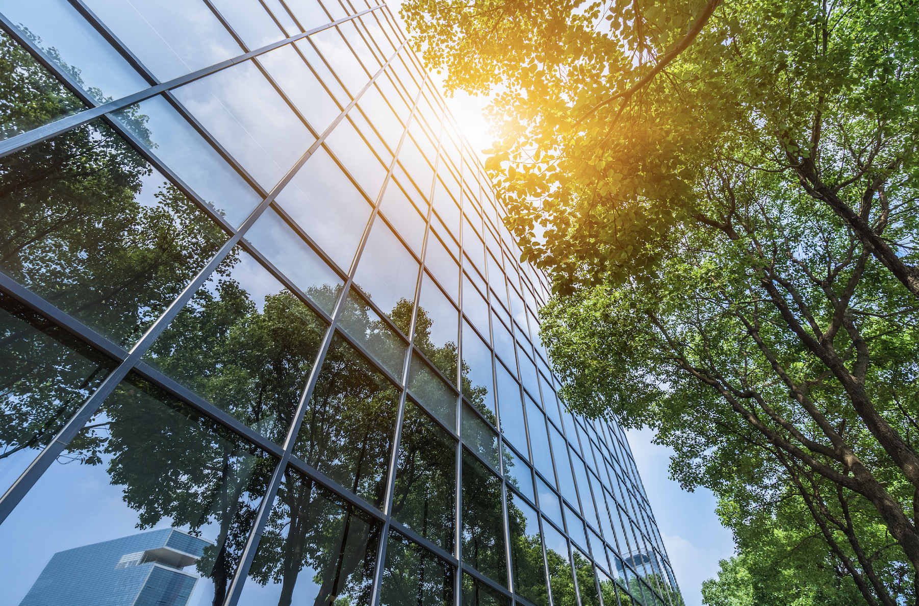 QUIN Institute – QUIN Institute for Sustainable Executive Education