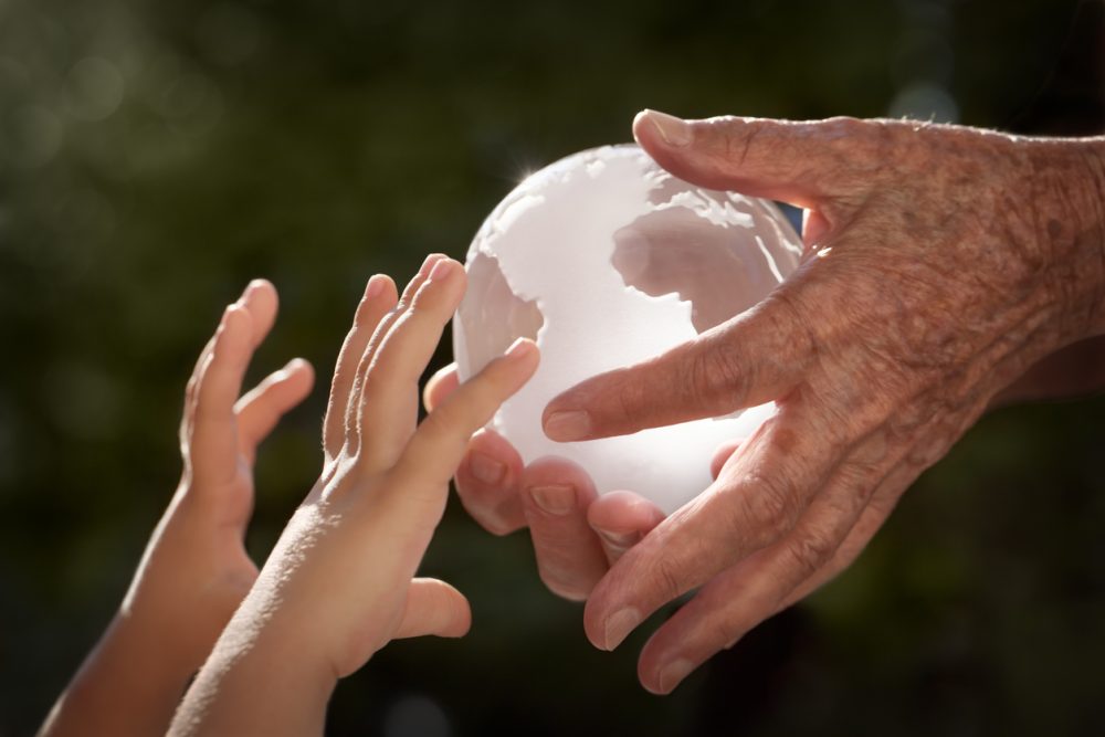 AMP Foundation | Equitable Climate Action through Science and Nature ...