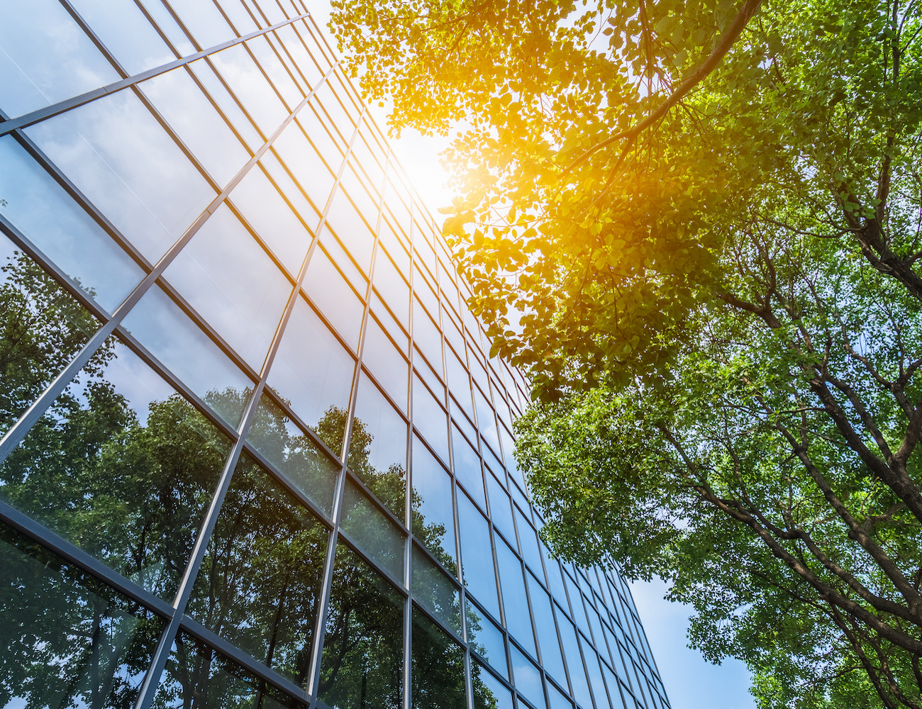QUIN Institute | Global Leader in University-Certified Sustainable ...